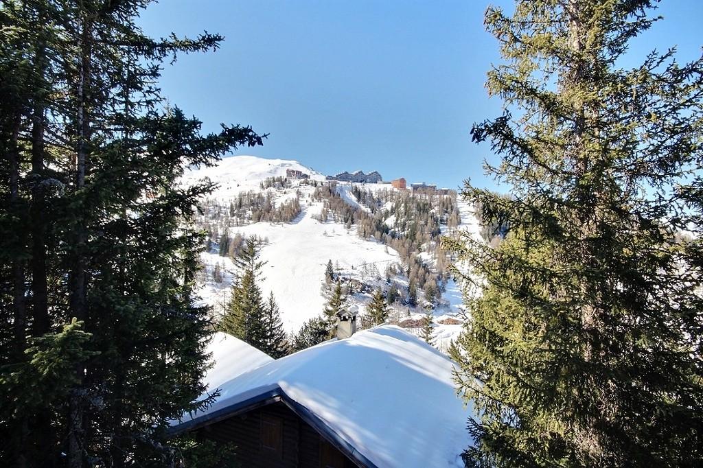 Alquiler Chalet individual Chalet Annika Plagne 1800 - 15662 | Chalet ...